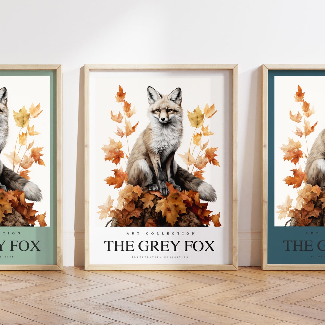 The Grey Fox Print - Grey Fox Illustration Poster - Grey Fox Painting ...