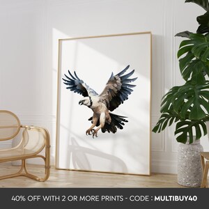 Any Colour - Harpy Eagle Print - Harpy Eagle Poster - Vulture Art ...