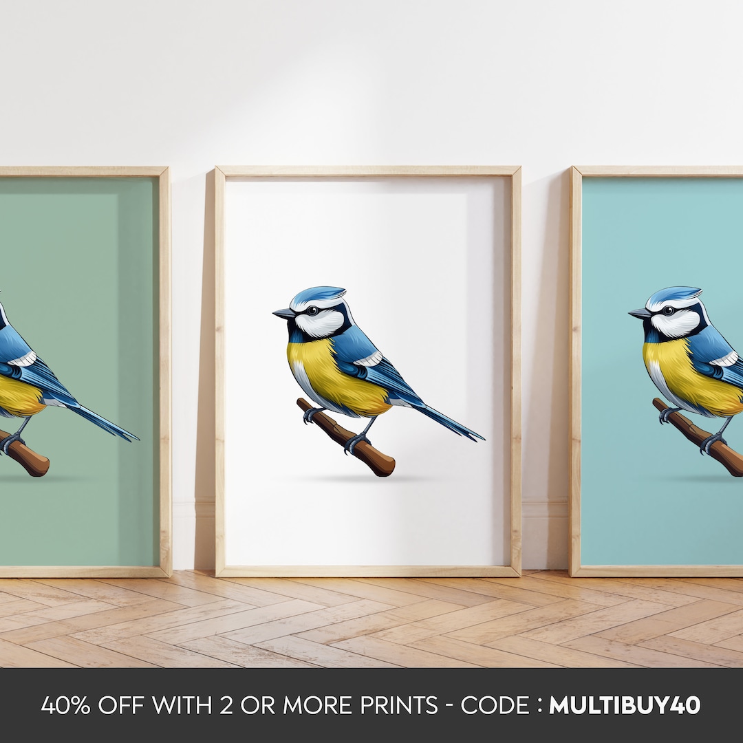 Any Colour - Eurasian Blue Tit Print - Eurasian Blue Tit Poster - Bird ...