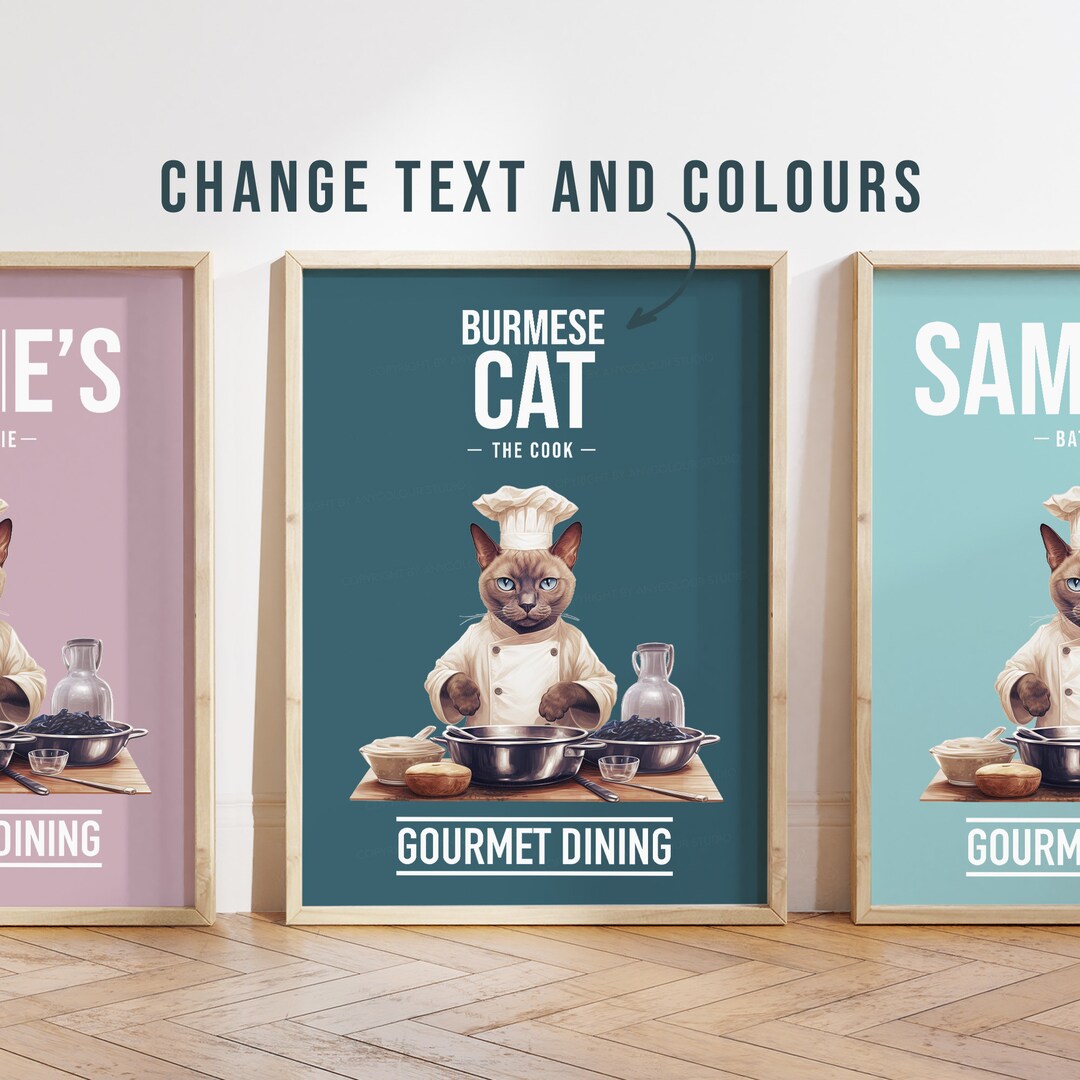 Any Colour - Burmese Cat in Kitchen Poster - Burmese Cat Poster ...