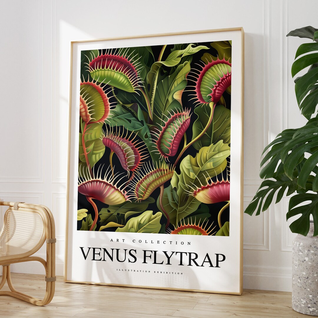 Any Colour - Venus Flytrap Flowers Print - Venus Flytrap Poster - Venus Flytrap Art - Vintage ...
