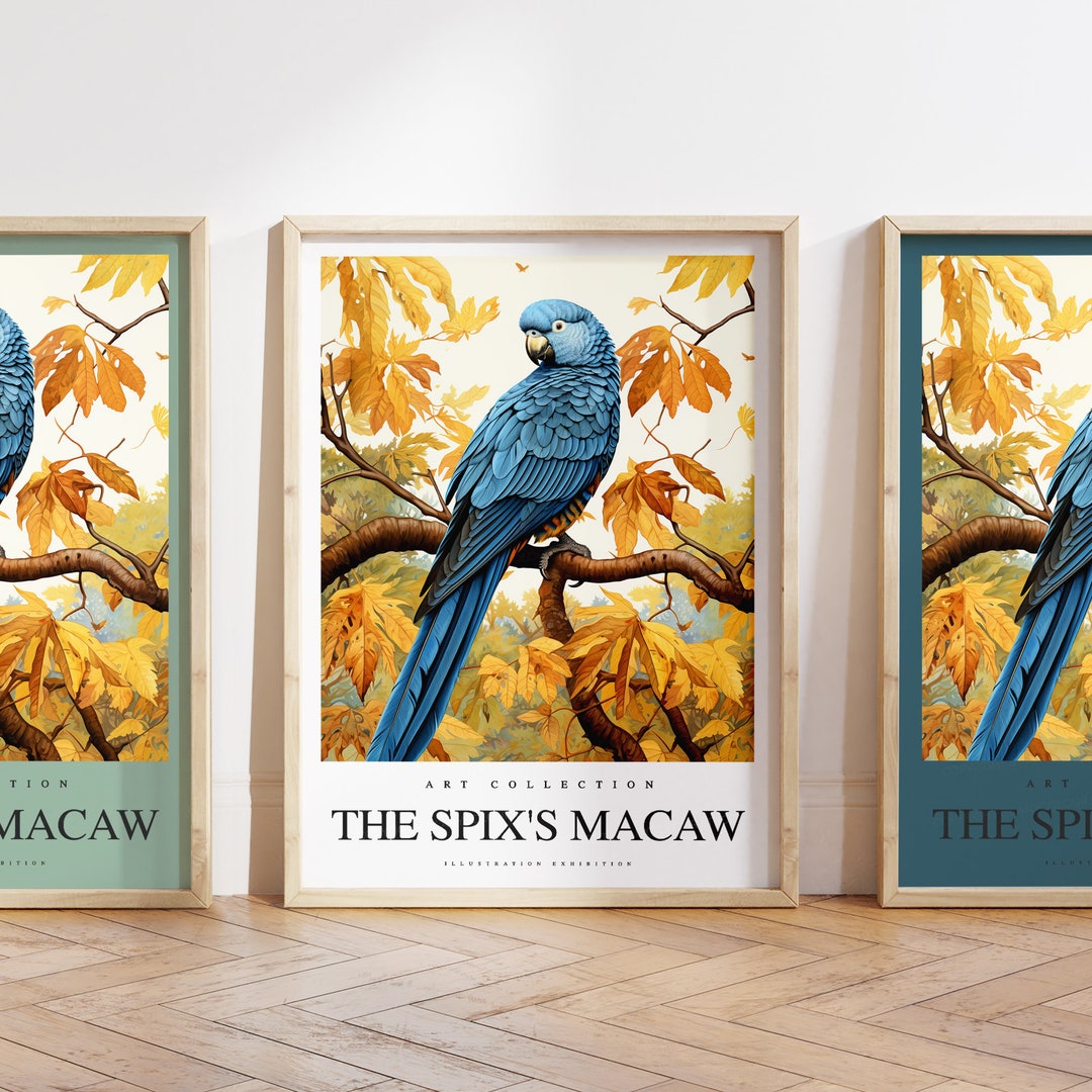 Any Colour - Spix's Macaw Print - Spix's Macaw Poster - Spix's Macaw ...
