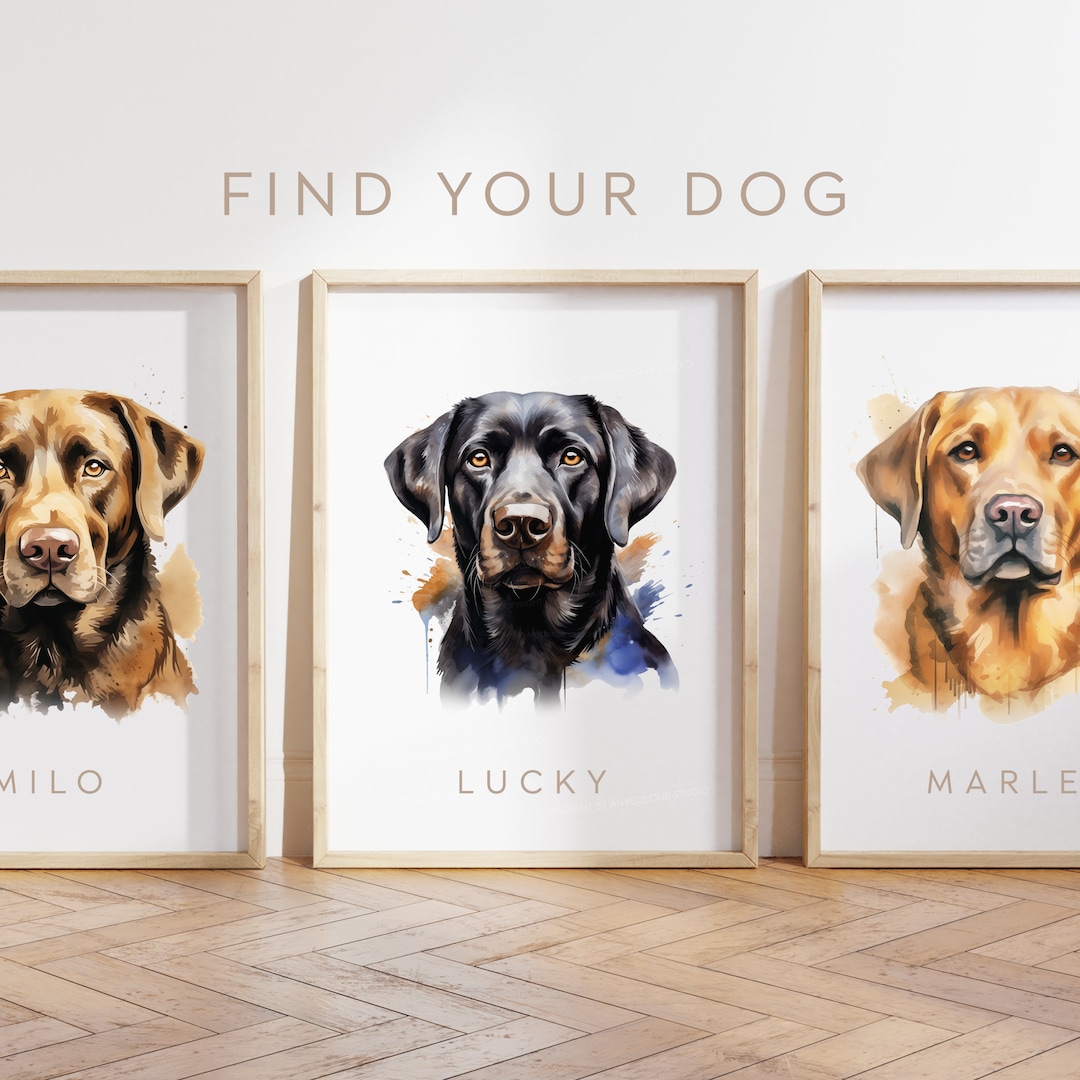 Custom Dog Poster - Labrador Retrieve Poster - Labrador Retrieve Dog ...