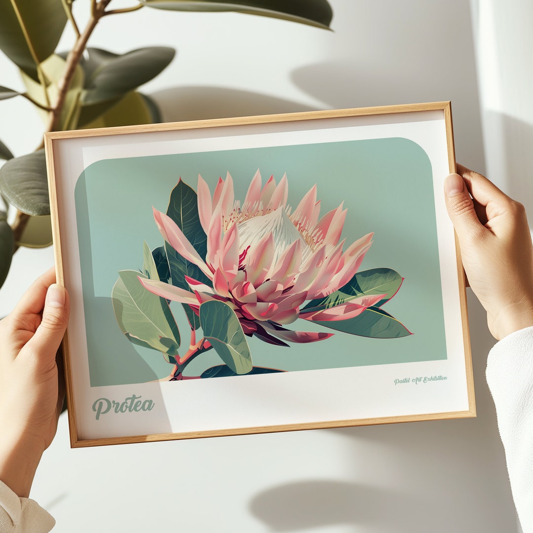 Protea Flowers Landscape Print, Protea Flowers Poster, Protea Flowers ...