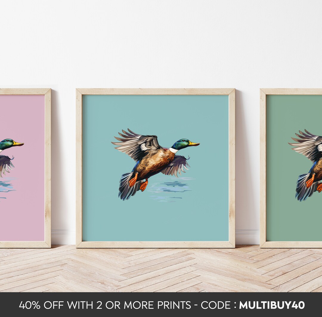 Mallard Duck Poster - Mallard Duck Print - Mallard Duck Art - Bird Art ...