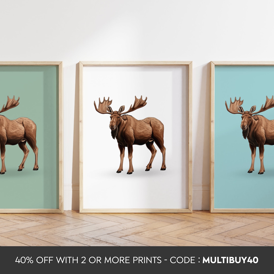 Any Colour - Moose Print - Moose Poster - Moose Art - Moose Print - Any ...
