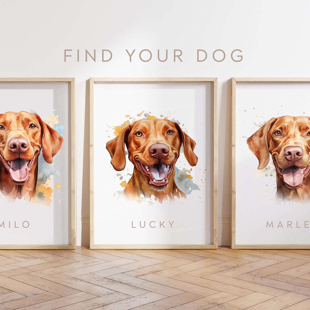 Custom Dog Poster - Vizsla Dog Poster - Vizsla Dog Print - Vizsla Puppy ...