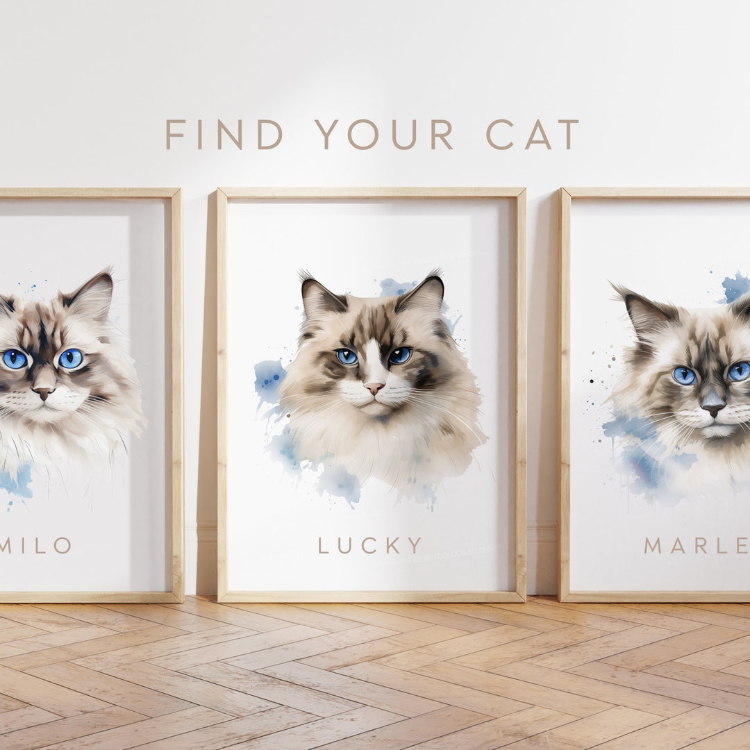Custom Cat Poster - Ragdoll Cat Poster - Ragdoll Cat Print - Ragdoll ...