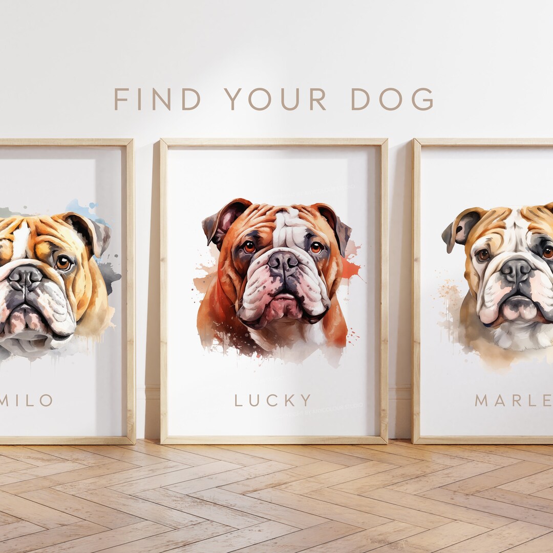 Custom Dog Poster - Bulldog Poster - Bulldog Dog Print - Bulldog Puppy ...