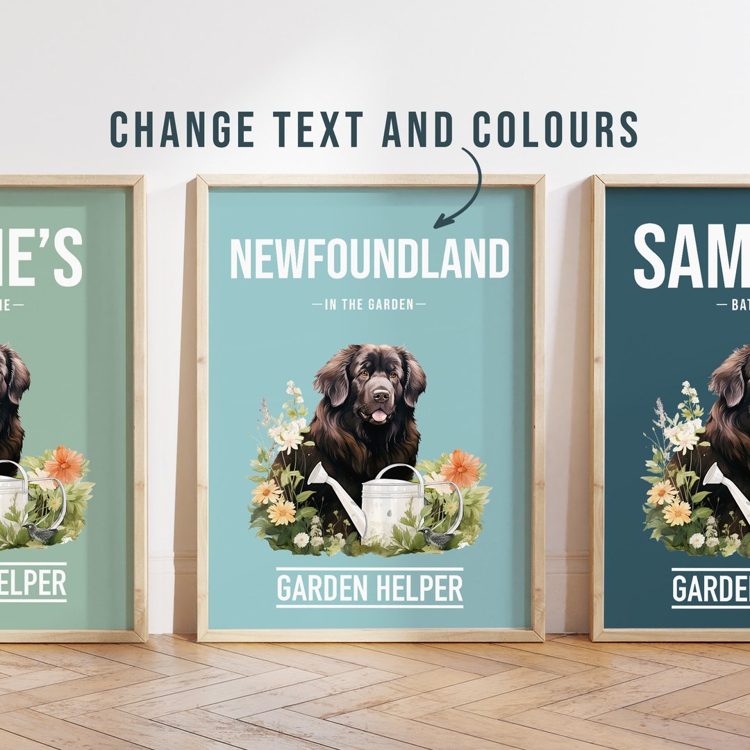 Any Colour - Newfoundland in Garden Poster - Newfoundland Poster ...