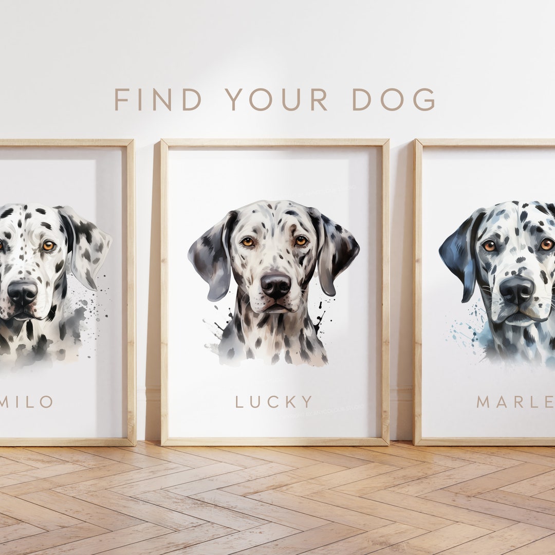 Custom Dog Poster - Dalmatian Poster - Dalmatian Dog Print - Dalmatian ...