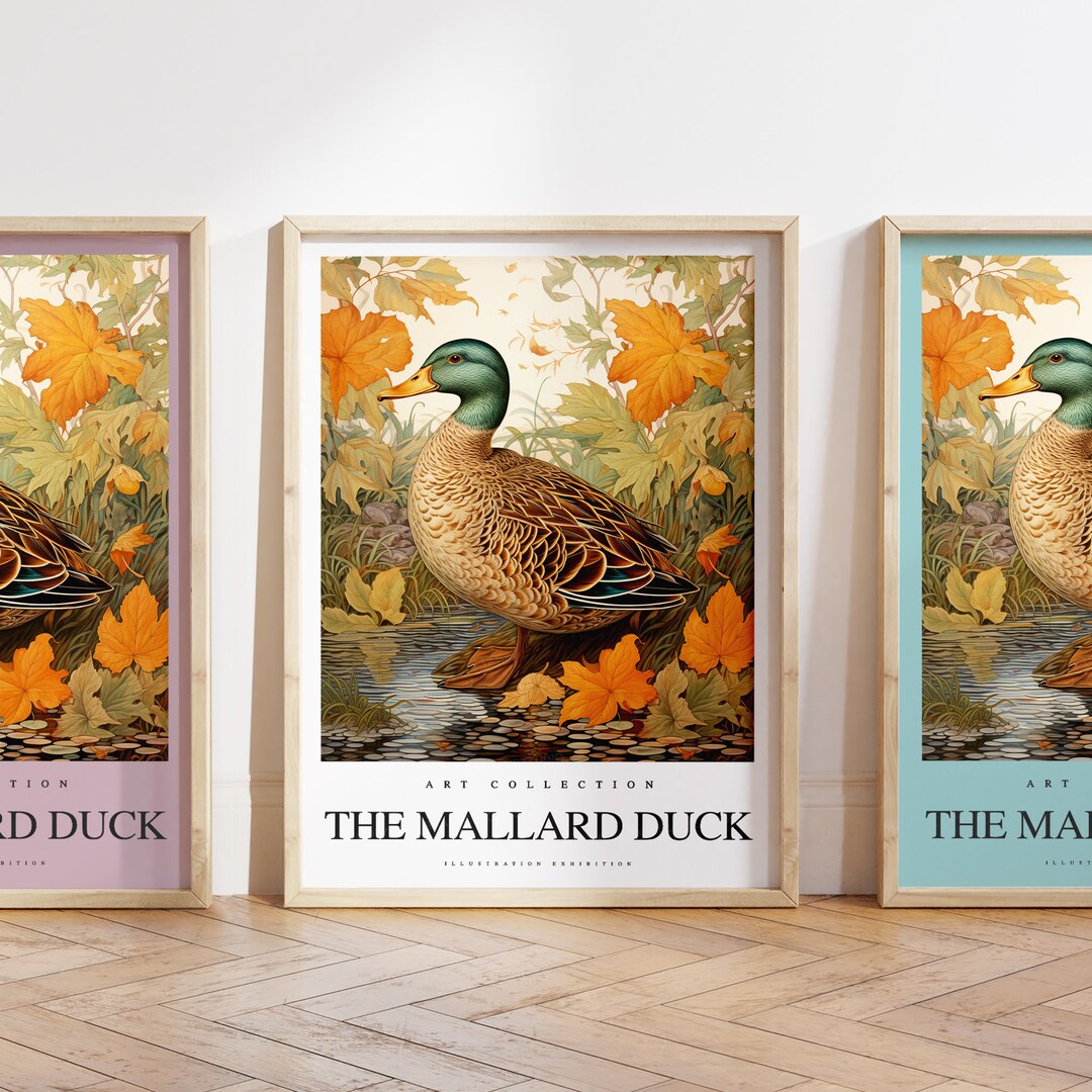Mallard Poster - Mallard Print - Mallard Art - Bird Art - Birds Print ...