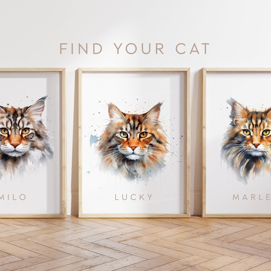 Custom Cat Poster - Maine Coon Cat Poster - Maine Coon Cat Print ...