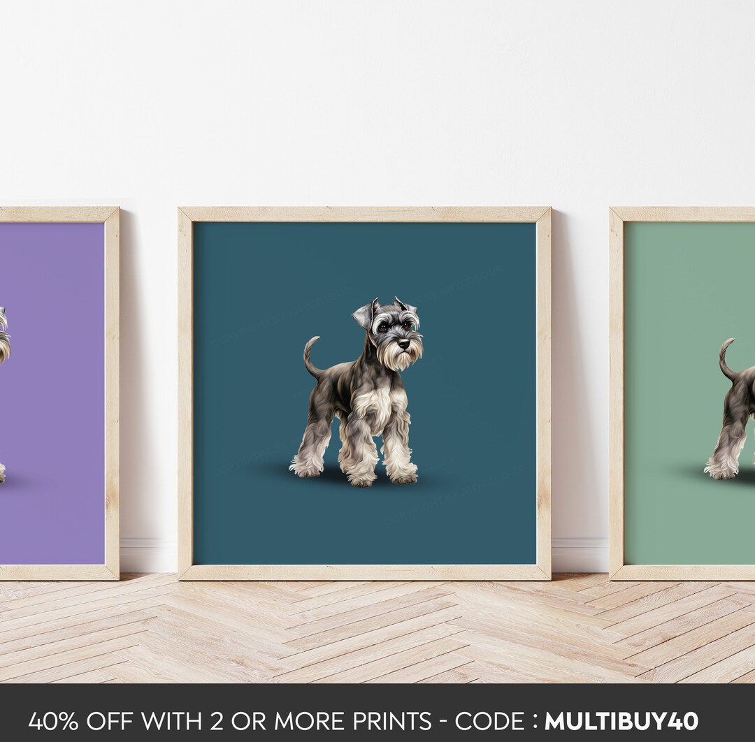 Any Colour - Any Size - Schnauzer Poster - Schnauzer Dog Print - Etsy