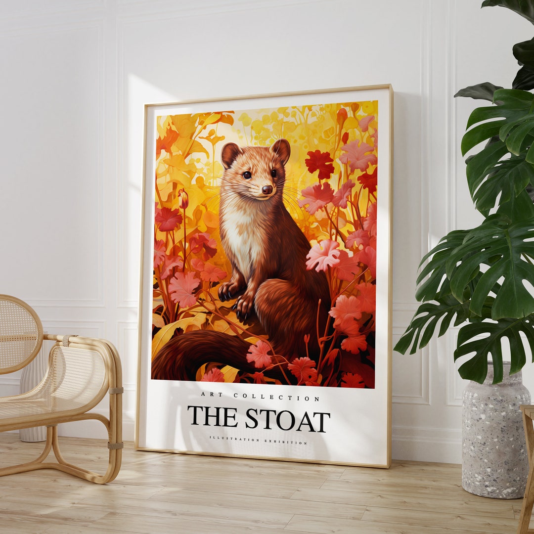 Stoat Poster - Stoat Print - Stoat Art - Animal Art - Animal Print ...