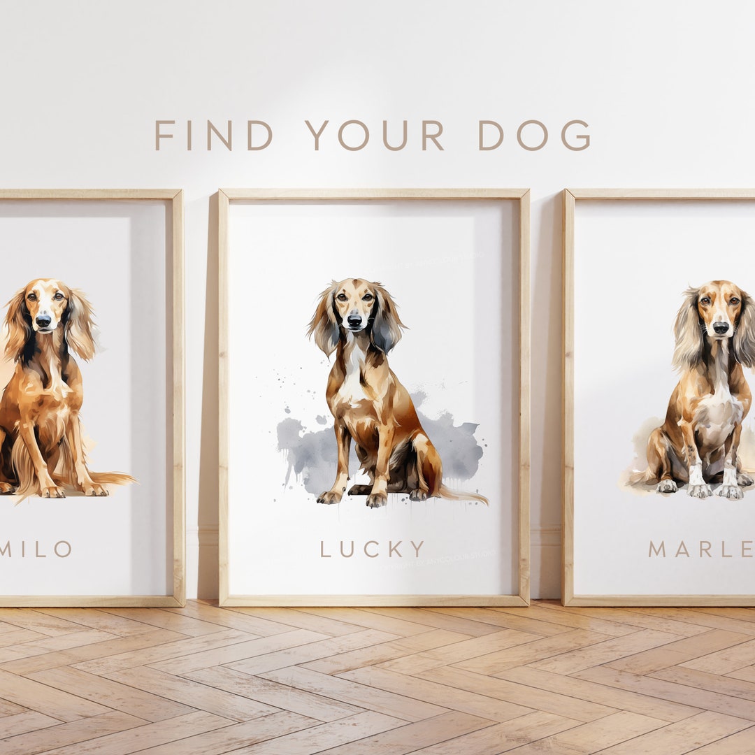 Any Colour - Saluki Dog - Saluki Poster - Custom Text Print ...