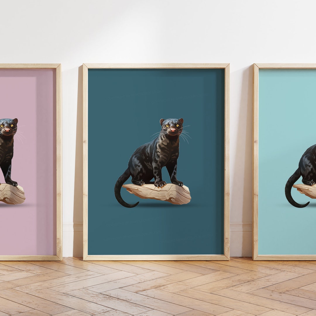 Any Colour - Tayra Print - Tayra Poster - Tayra Art - Tayra Print - Any ...