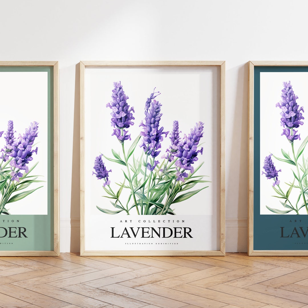 Any Colour - Lavender Plant Poster - Lavender Plant Print - Lavender ...