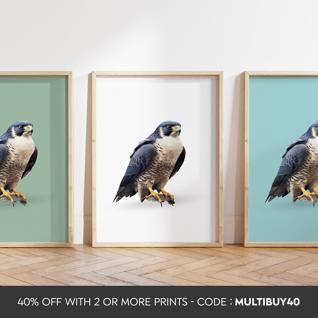Any Colour - Peregrine Falcon Print - Peregrine Falcon Poster ...
