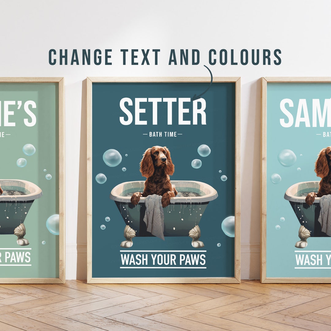 Any Colour - English Setter in Bath Poster - English Setter Poster ...