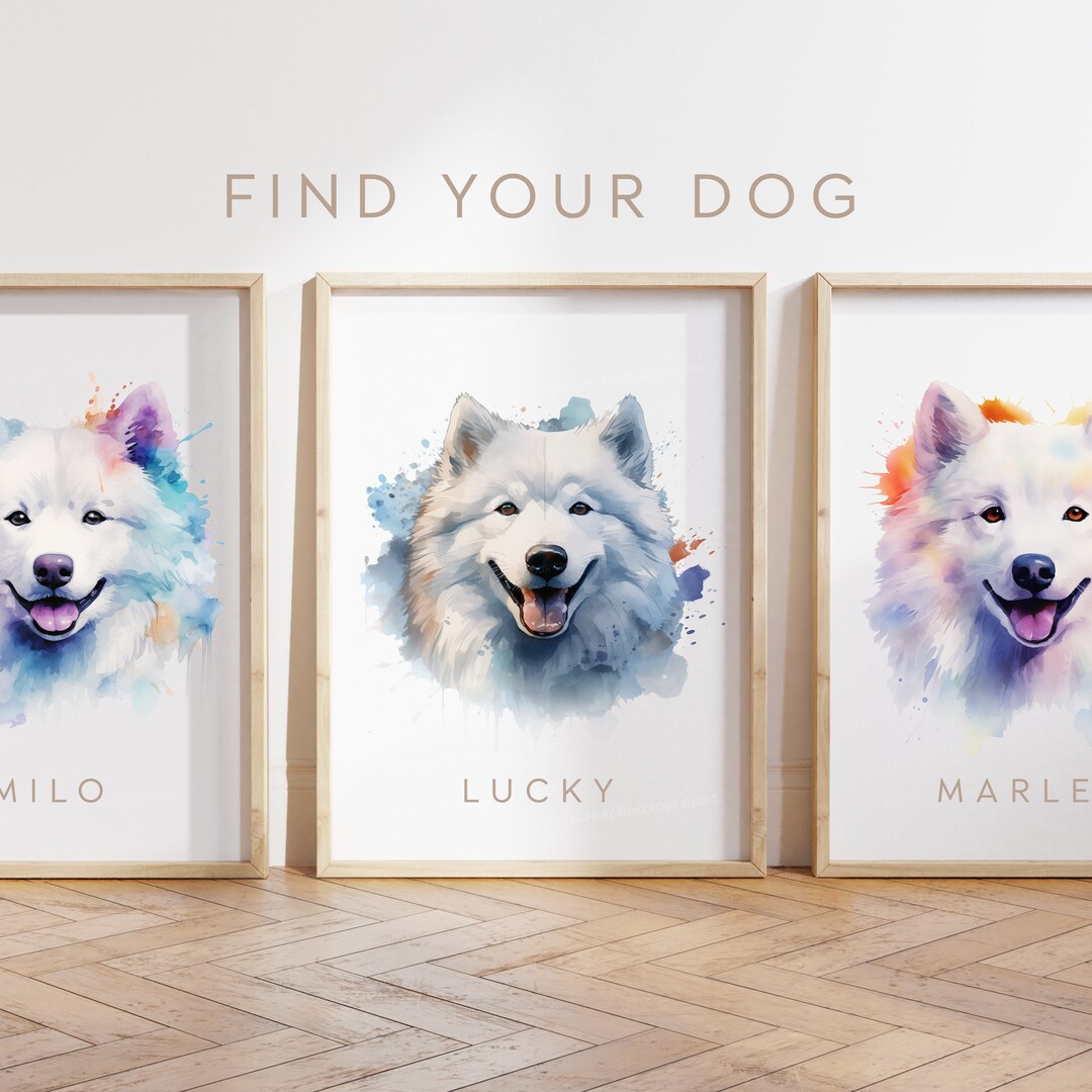 Custom Dog Poster - Samoyed Poster - Samoyed Dog Print - Samoyed Puppy Watercolour - Pet ...