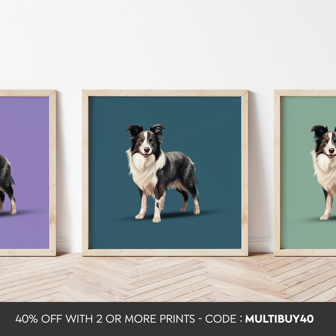 Any Colour - Border Collie Poster - Border Collie Print - Dog Print ...