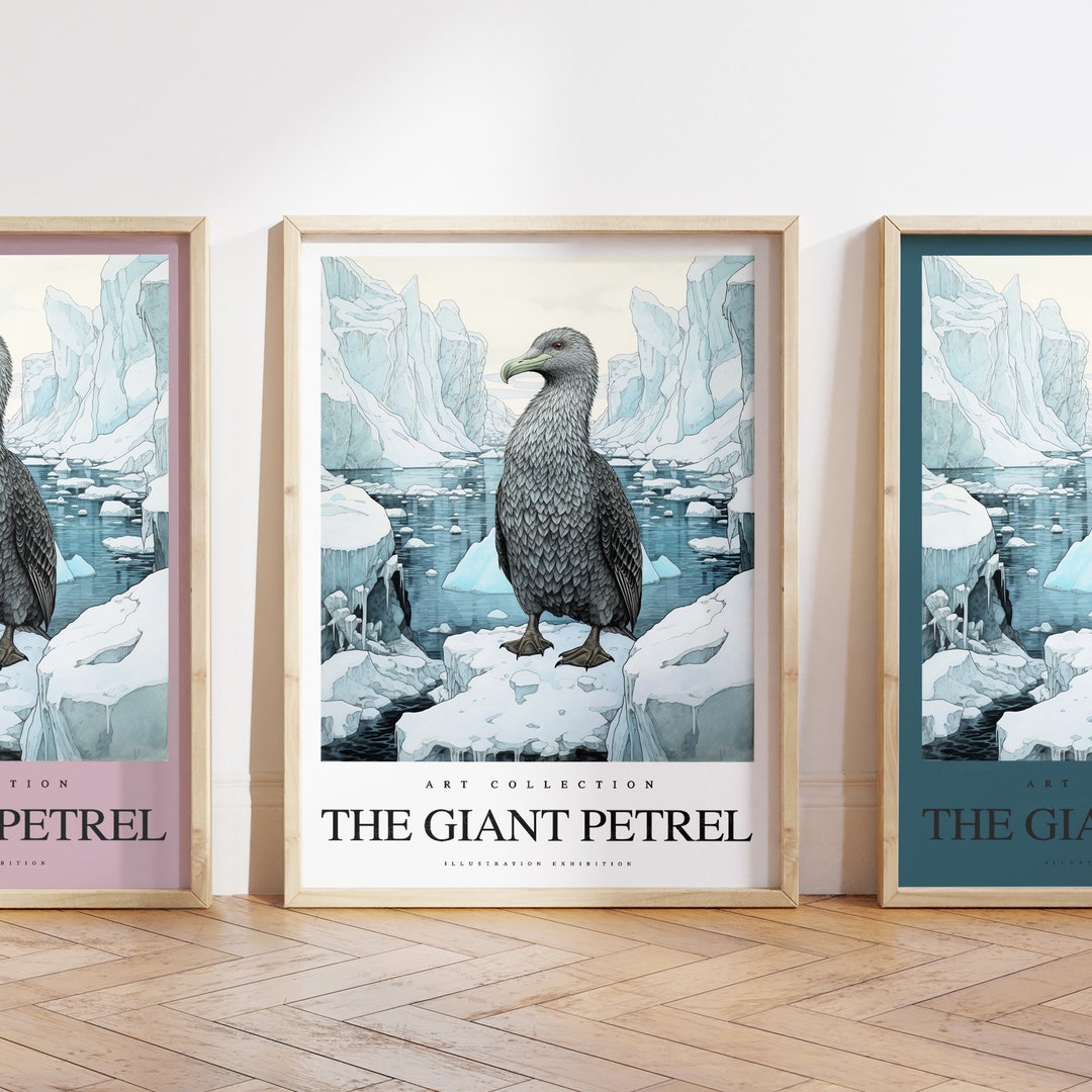 Giant Petrel Poster - Giant Petrel Print - Giant Petrel Art - Bird Art ...