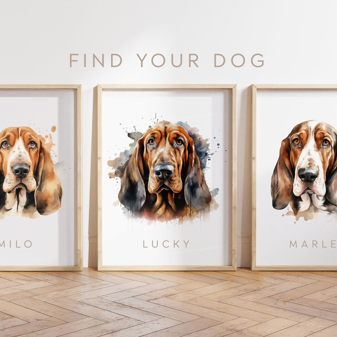 Custom Dog Poster - Basset Hound Poster - Basset Hound Dog Print ...