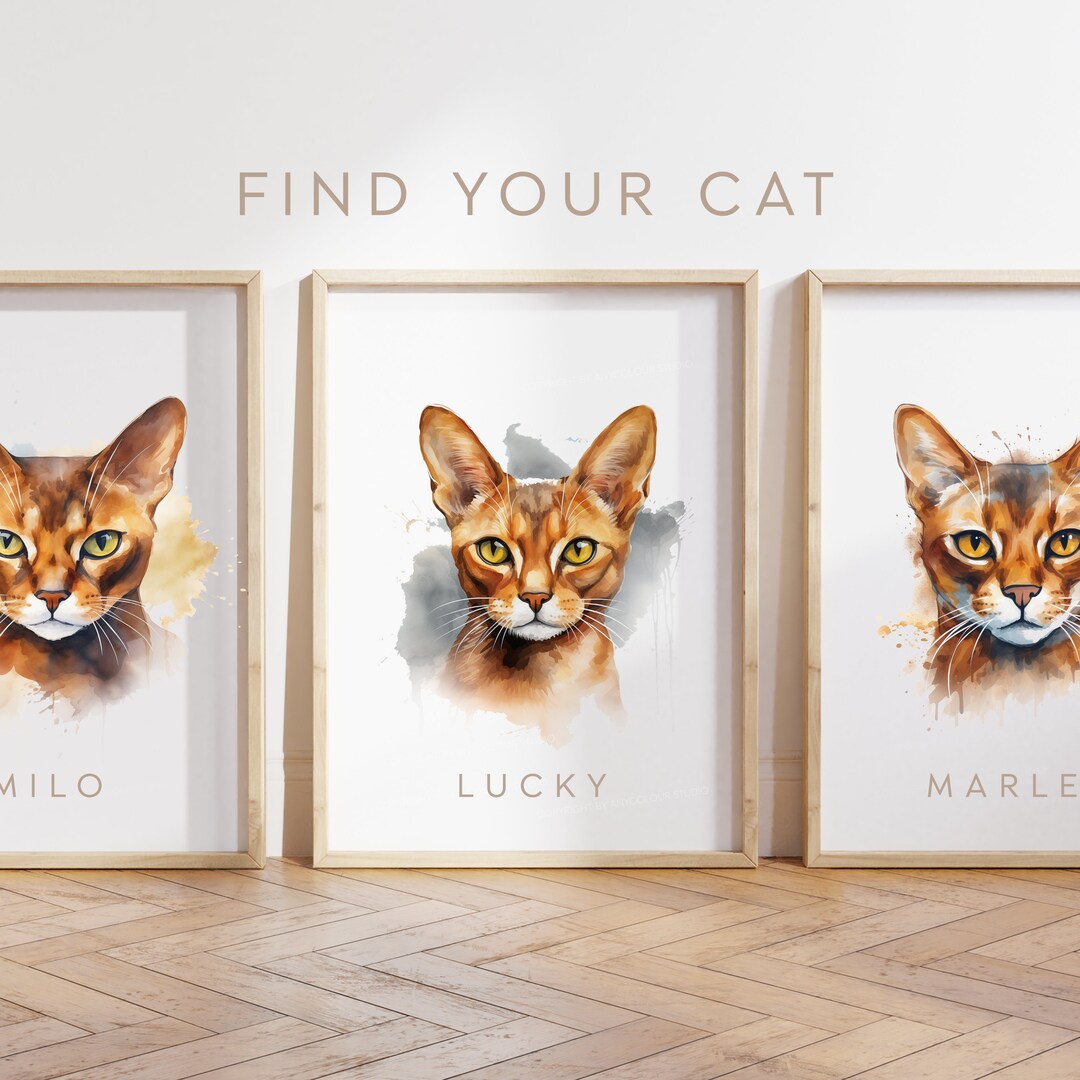 Custom Cat Poster - Abyssinian Cat Poster - Abyssinian Cat Print ...