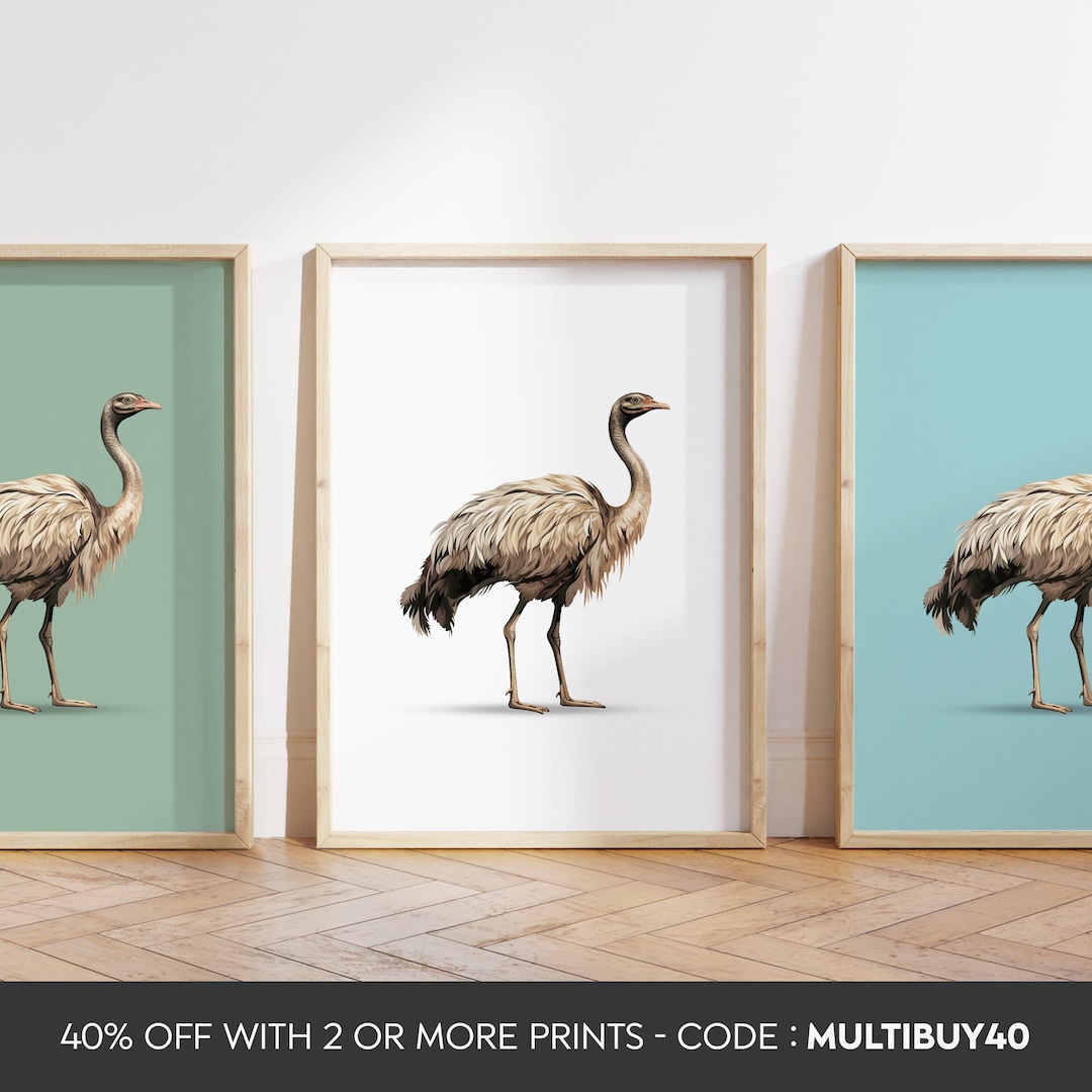 Any Colour - Ostrich Print - Ostrich Poster - Ostrich Art - Africa ...