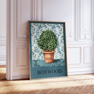 Any Colour - Boxwood Plant Print - Boxwood Plant Poster - Boxwood Plant ...