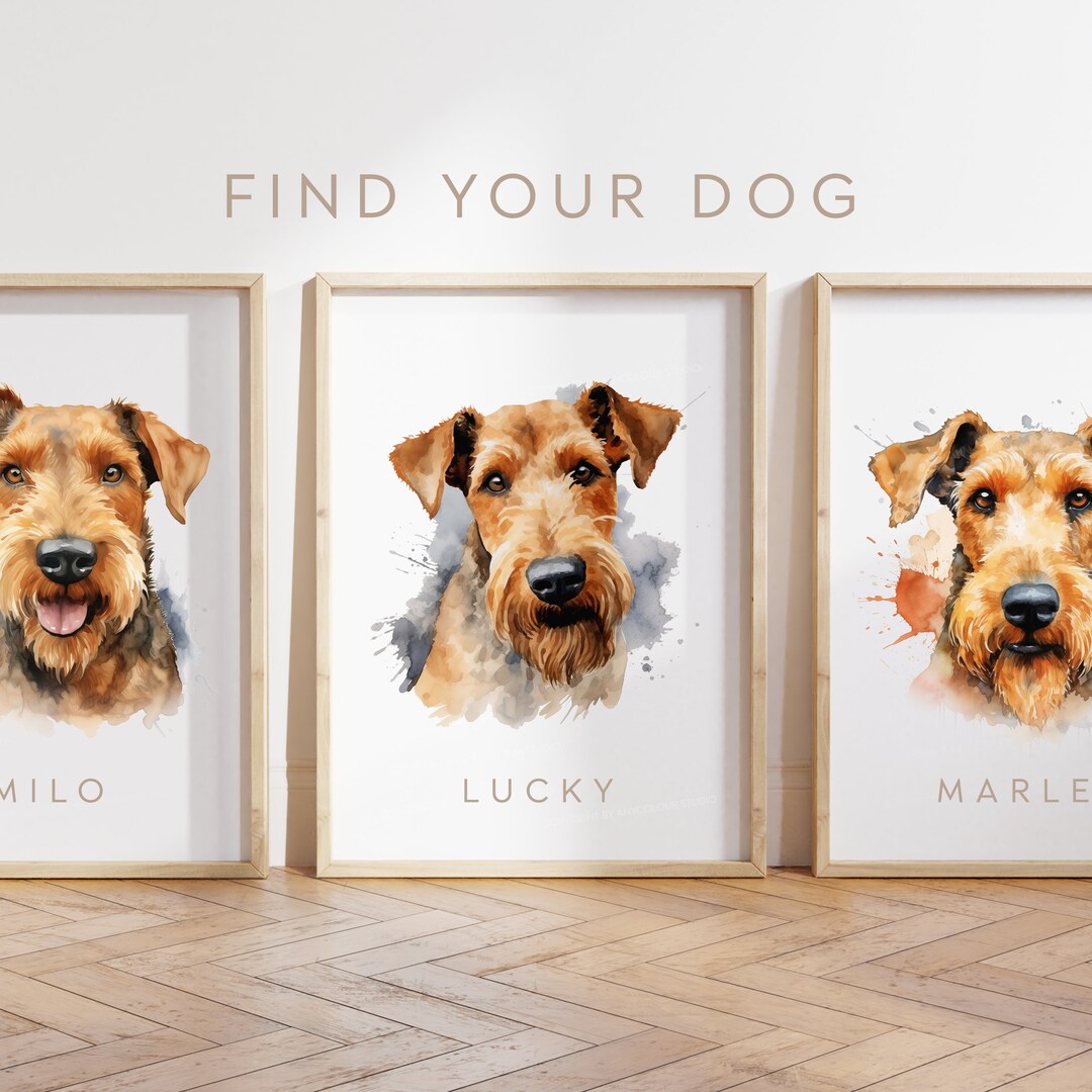 Custom Dog Poster - Airedale Terrier Poster - Airedale Terrier Dog ...