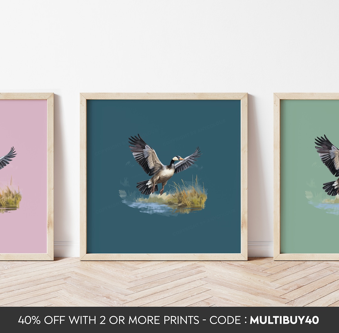 Barnacle Goose Poster - Barnacle Goose Print - Goose Art - Bird Art ...