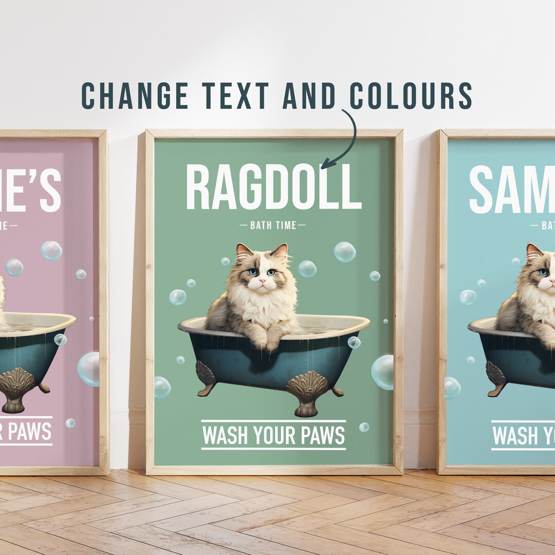 Any Colour - Ragdoll Cat in Bath Poster - Ragdoll Cat Poster - Ragdoll ...