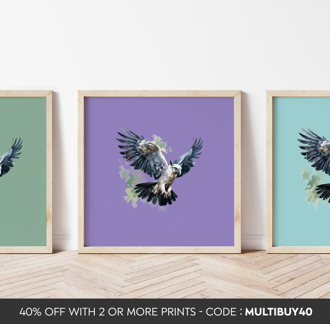 Harpy Eagle Poster - Harpy Eagle Print - Harpy Eagle Art - Bird Art ...