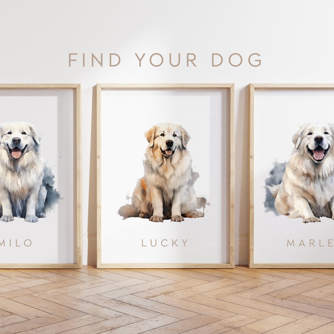 Any Colour - Great Pyrenees Dog - Great Pyrenees Poster - Custom Text ...