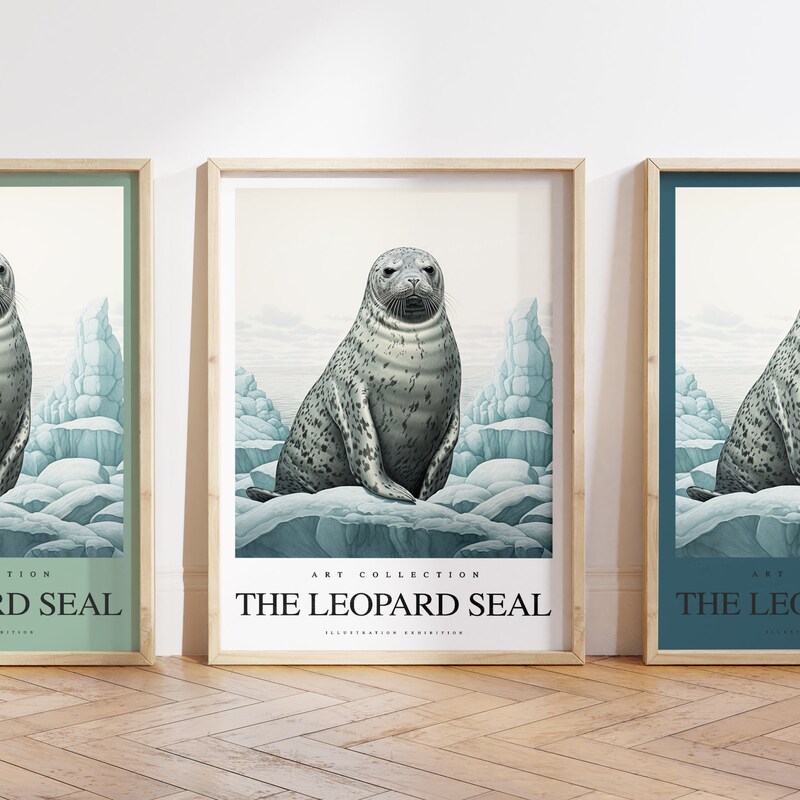 Seal Poster - Etsy
