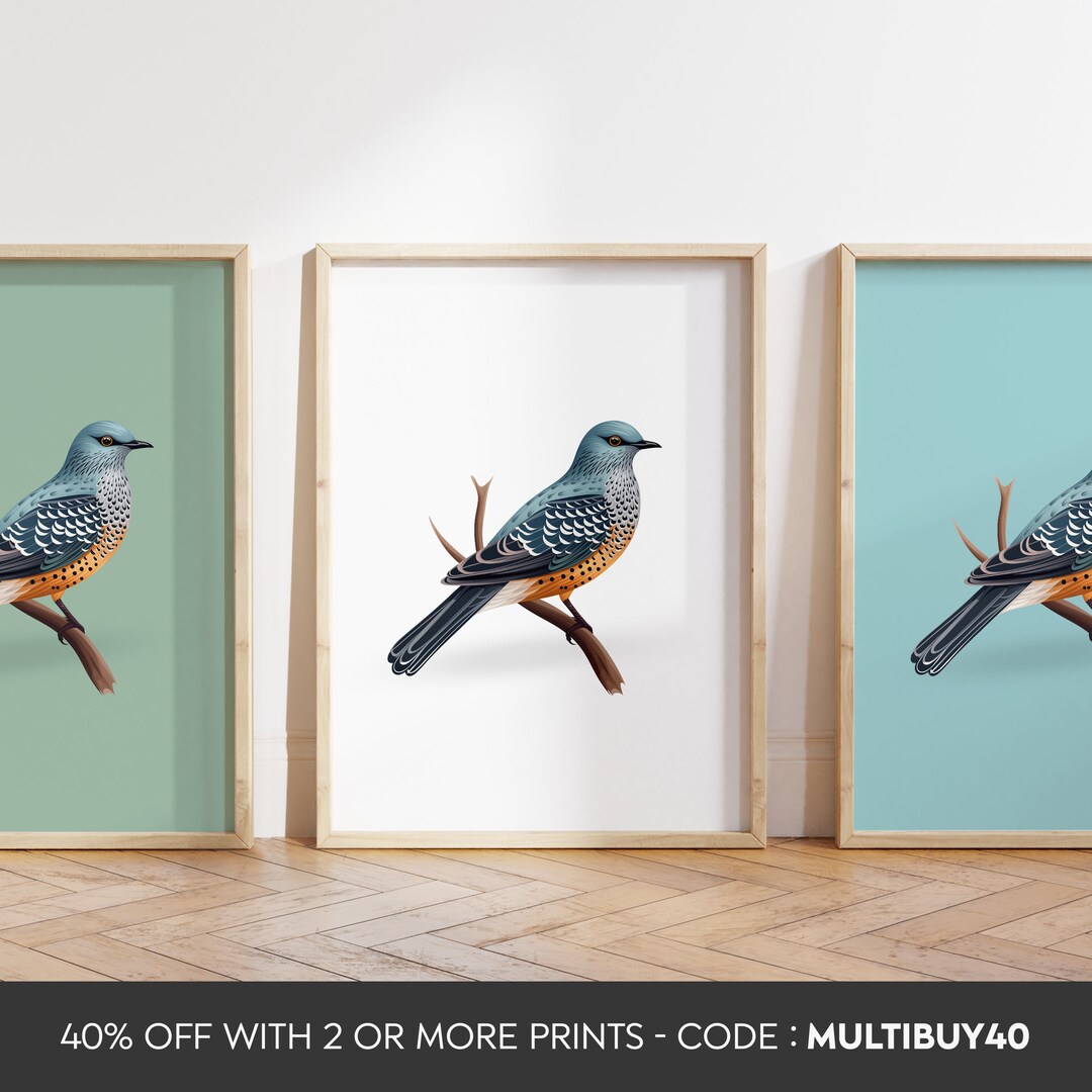 Any Colour - Cuckoos Print - Cuckoo Poster - Cuckoo Art - Cuckoo Print ...
