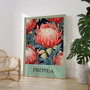 Any Colour - Protea Print - Protea Flowers Poster - Protea Art ...