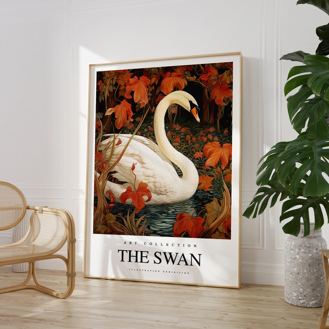 Any Colour - the Swan Print - Swan Poster - Swan Art - Swan Print - Any ...