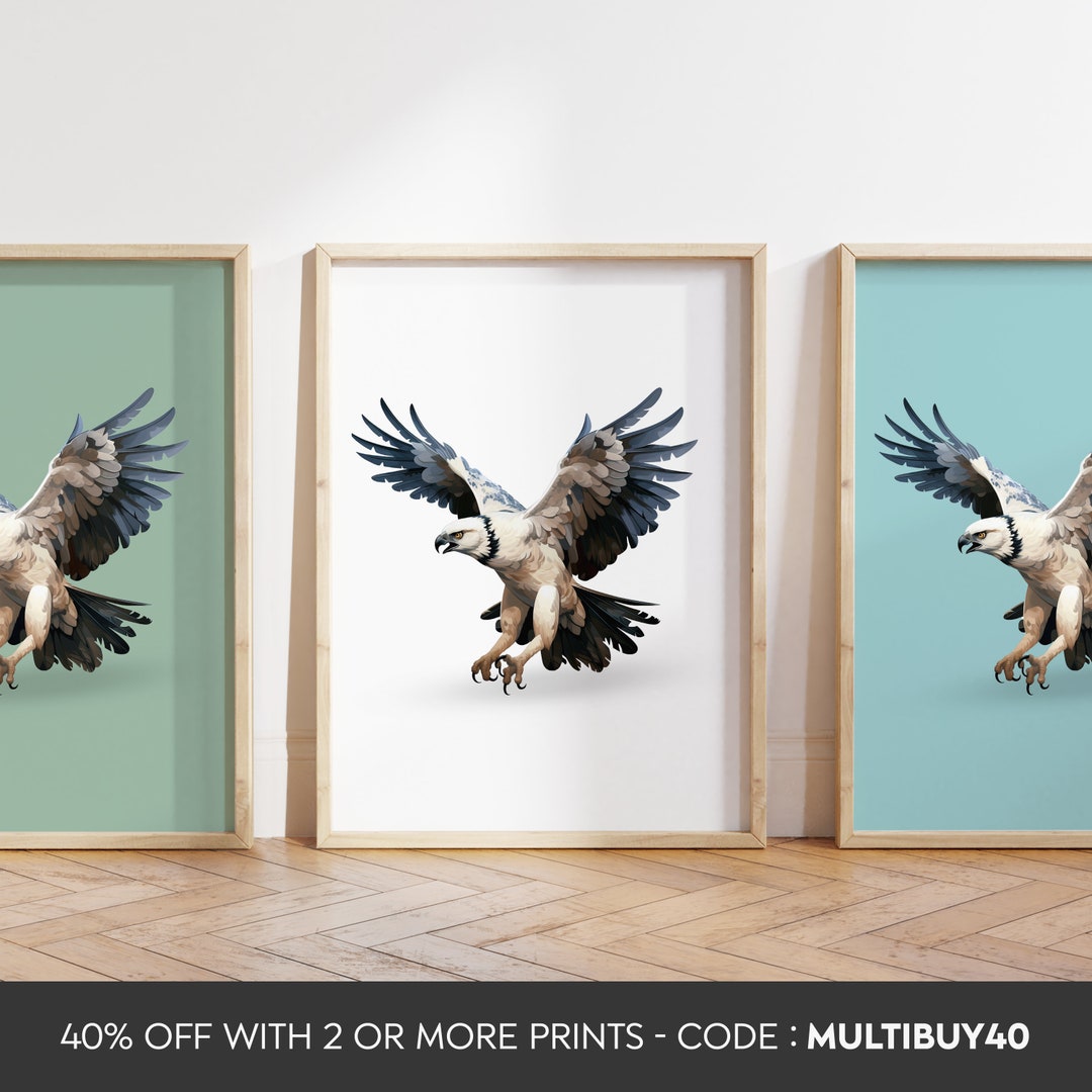 Any Colour - Harpy Eagle Print - Harpy Eagle Poster - Vulture Art ...