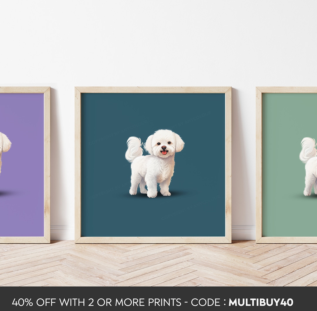 Any Colour - Any Size - Bichon Frise Poster - Bichon Frise Print - Etsy