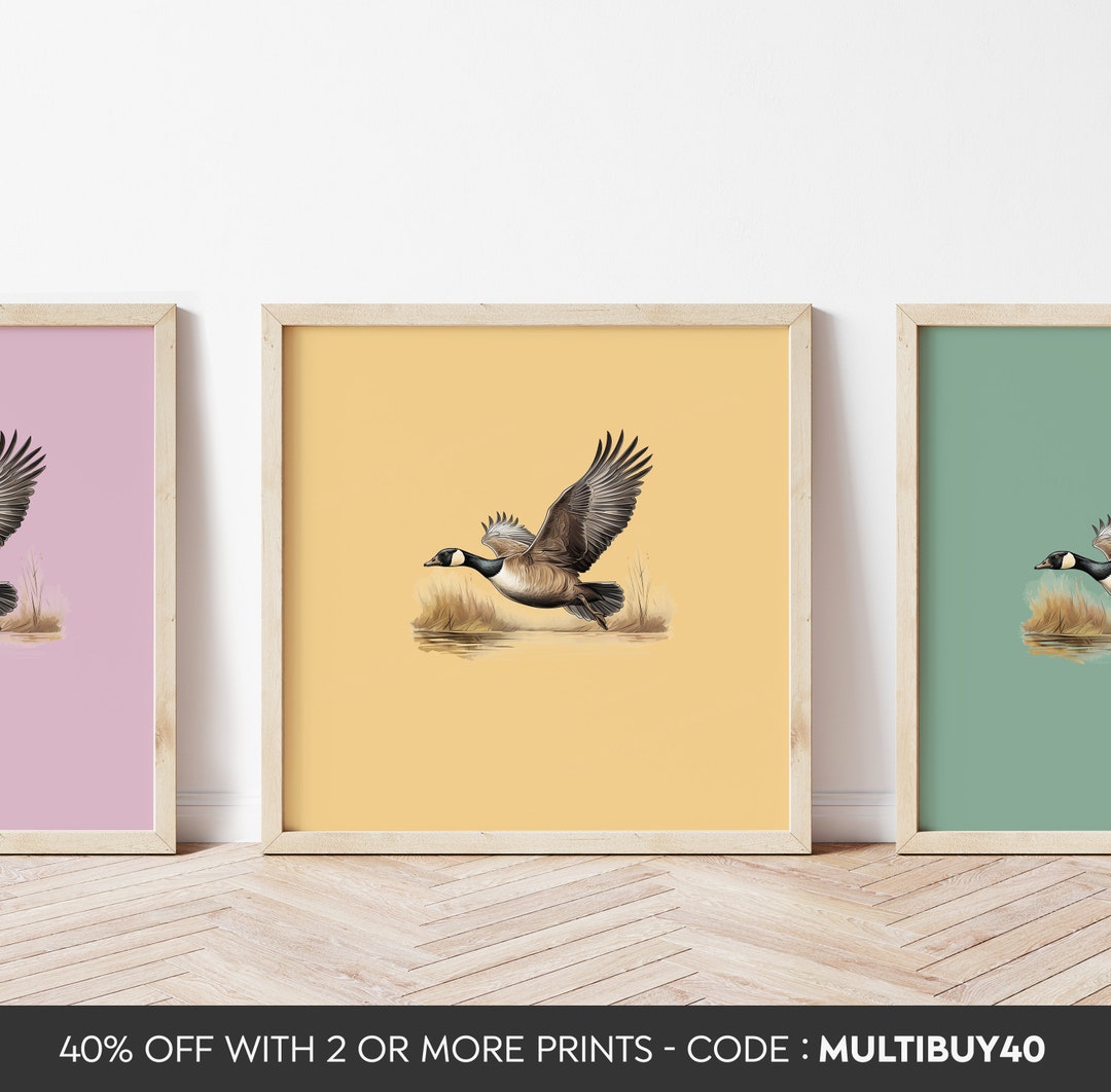 Canadian Goose Poster - Canadian Goose Print - Canadian Goose Art ...