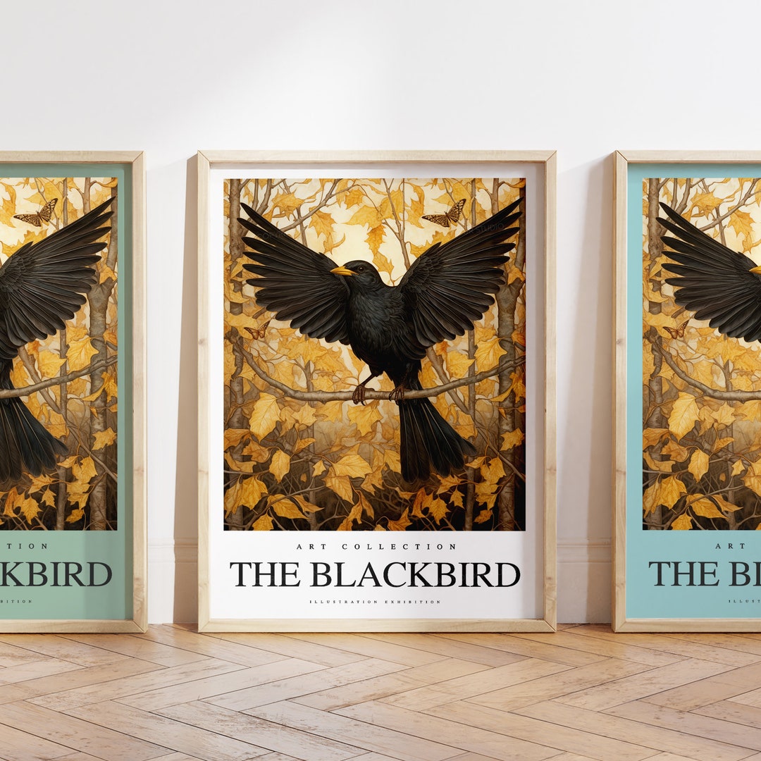 Blackbird Poster - Blackbird Print - Blackbird Art - Bird Art - Birds ...