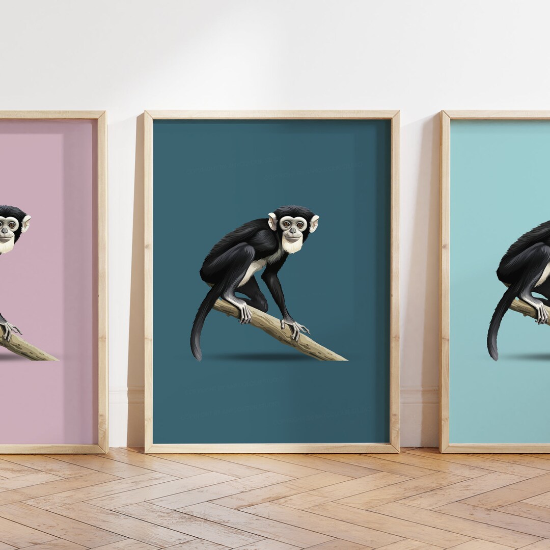 Any Colour - Spider Monkey Print - Spider Monkey Poster - Spider Monkey ...