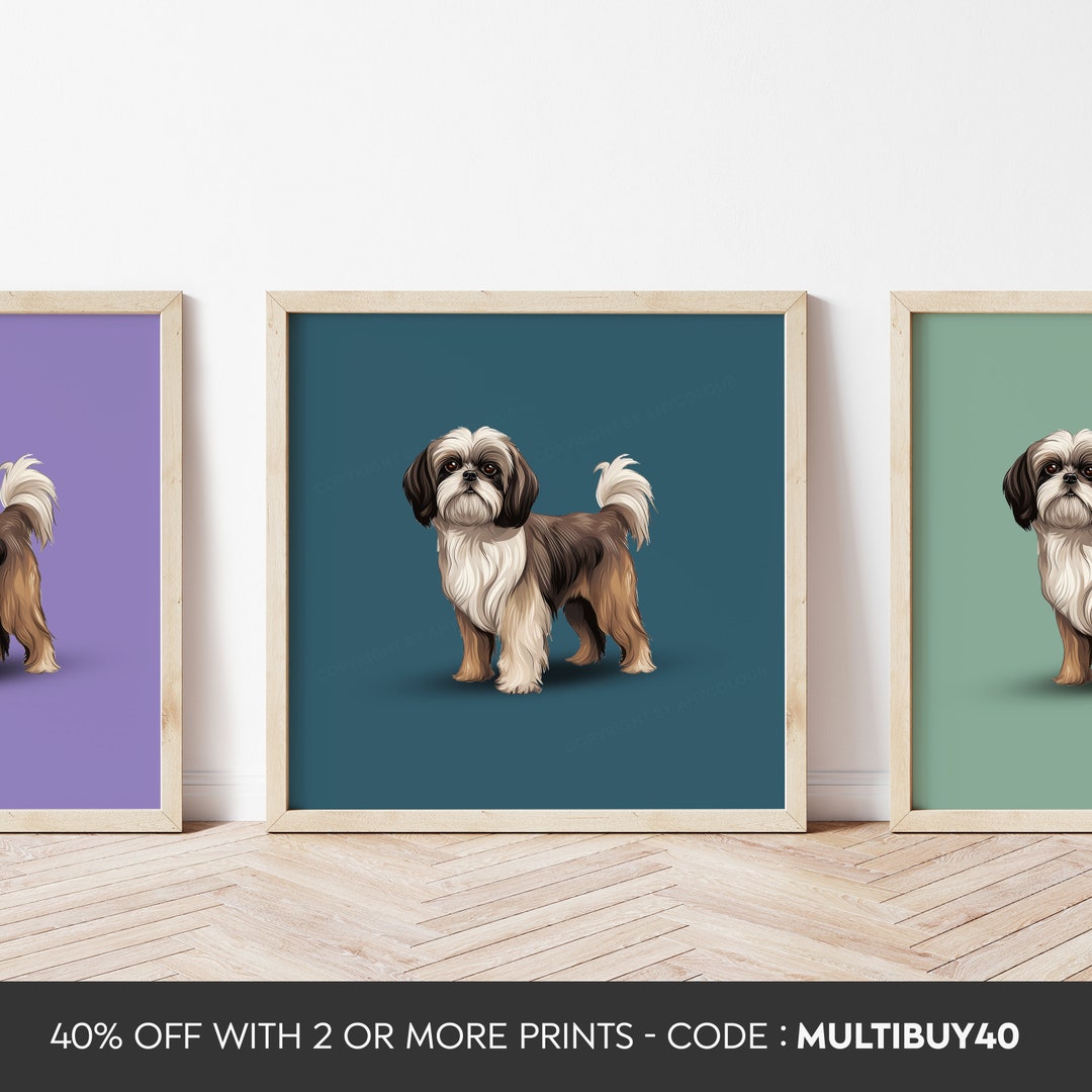 Any Colour - Shih Tzu Poster - Shih Tzu Dog Print - Shih Tzu Print ...