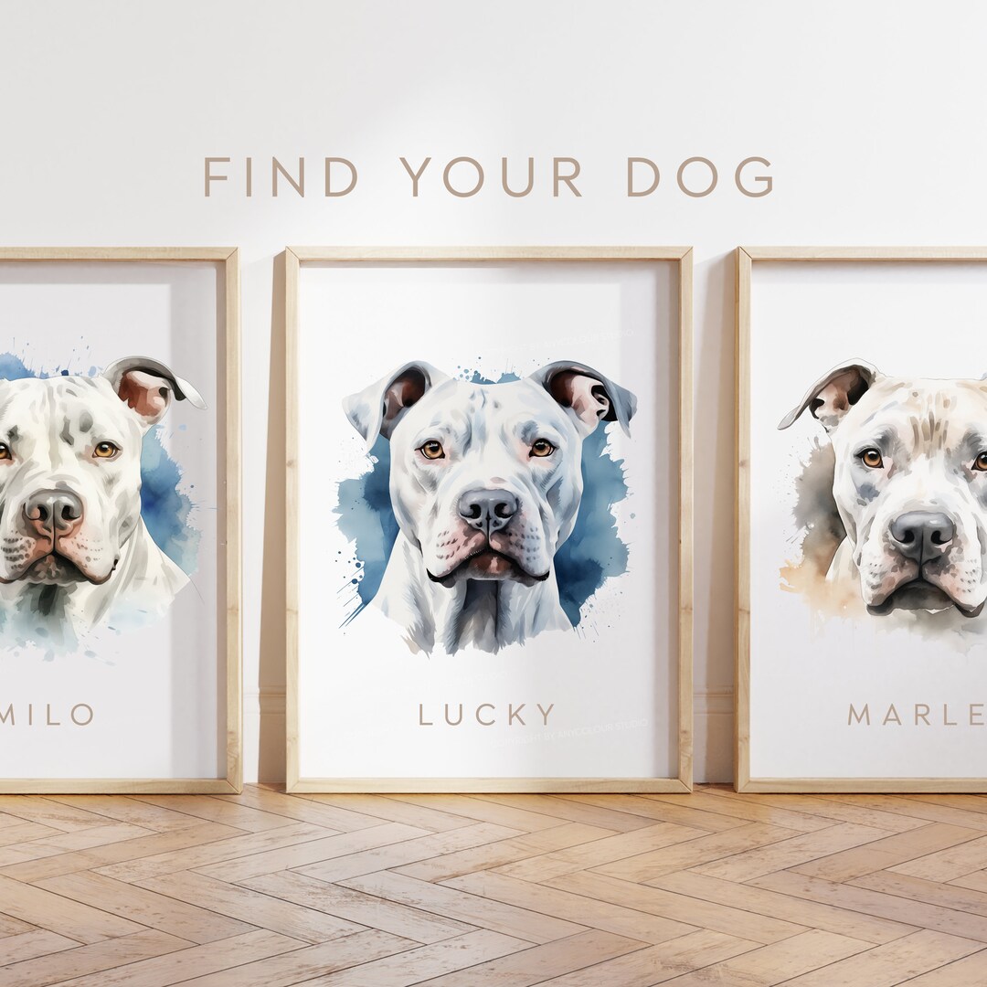 Custom Dog Poster - Dogo Argentino Poster - Dogo Argentino Dog Print ...