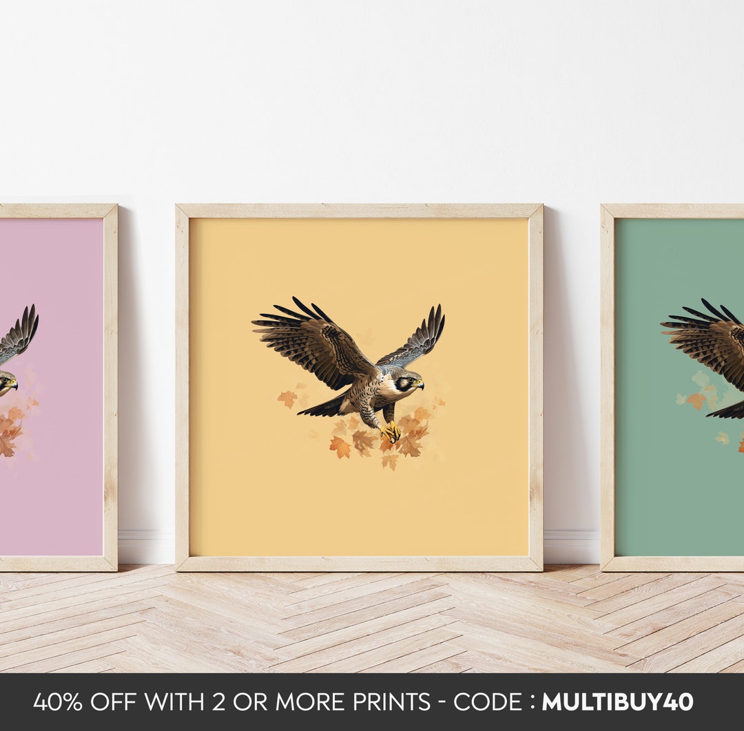 Peregrine Falcon Poster - Peregrine Falcon Print - Peregrine Falcon Art ...