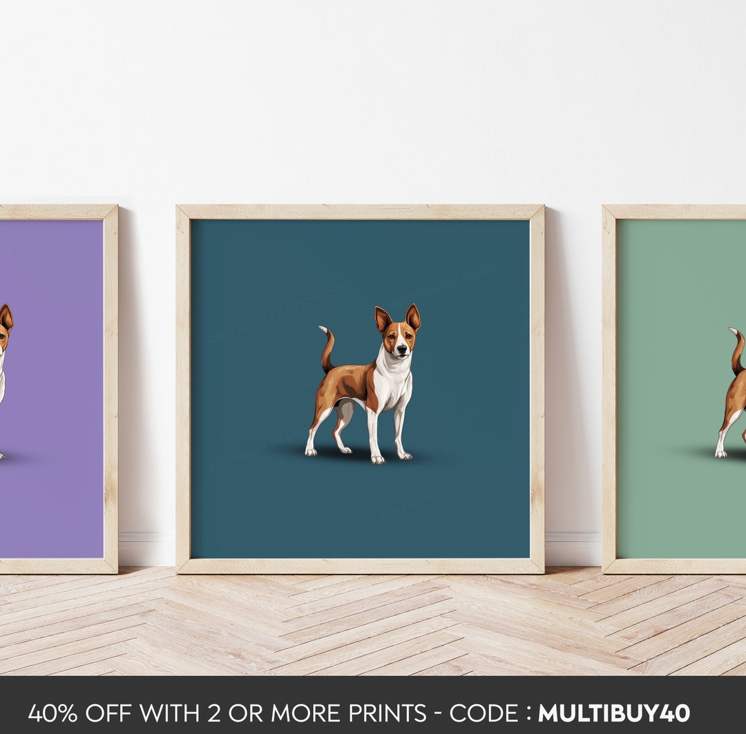 Any Colour - Any Size - Basenji Poster - Basenji Print - Etsy