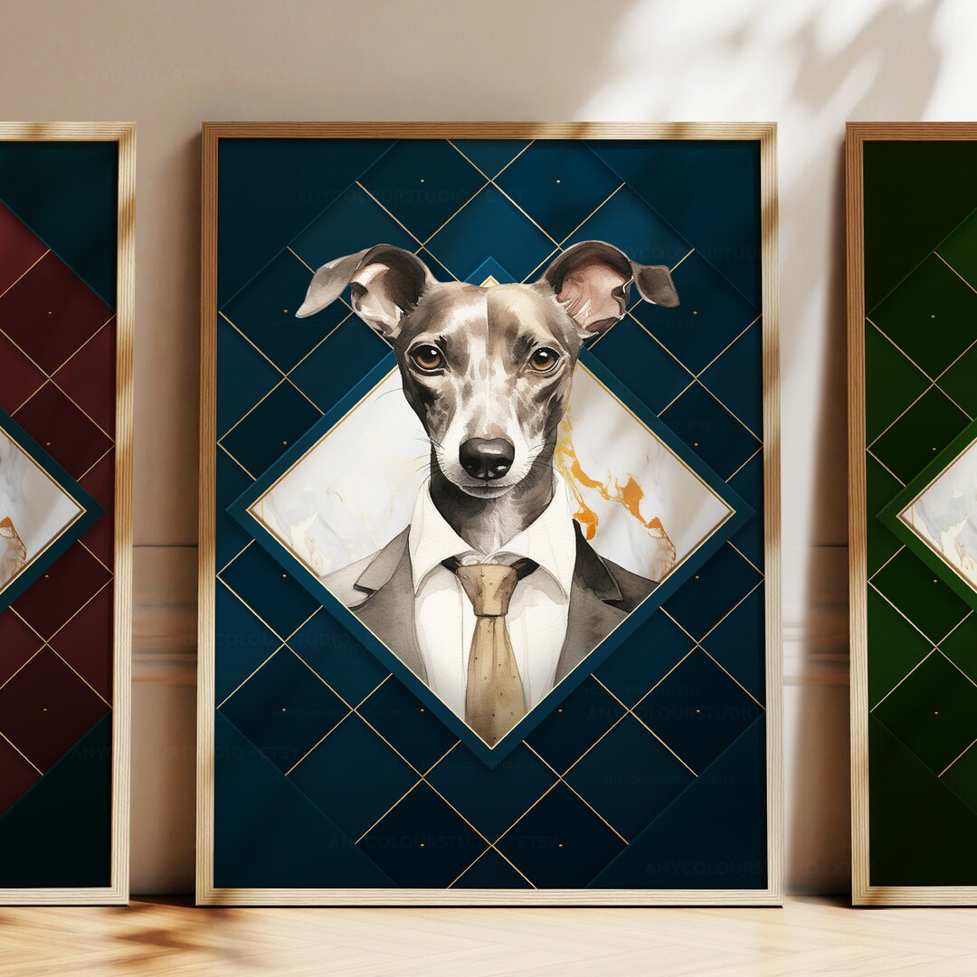 Any Colour - Italian Greyhound in Suit Poster - Italian Greyhound ...